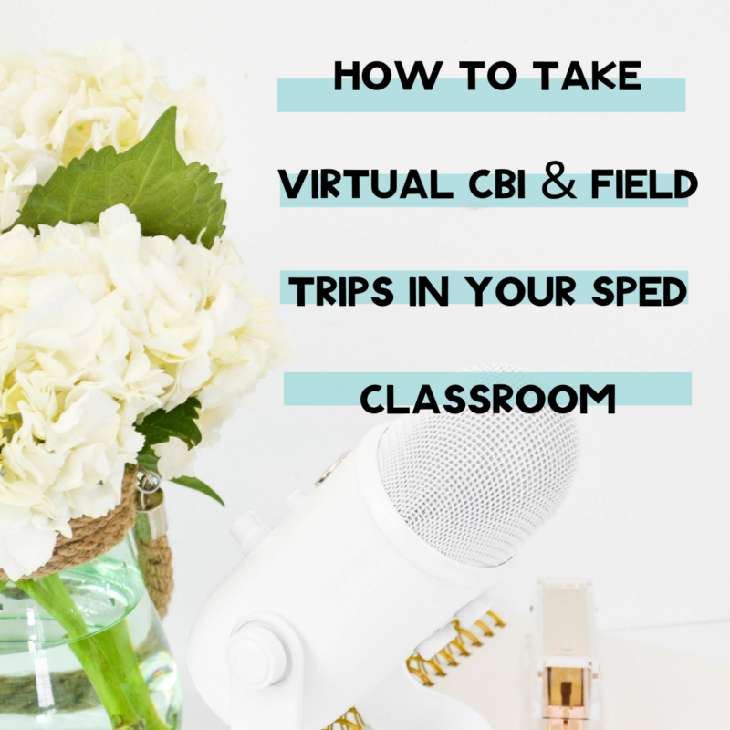 How to take community-based instruction cbi trips • Cultivating ...