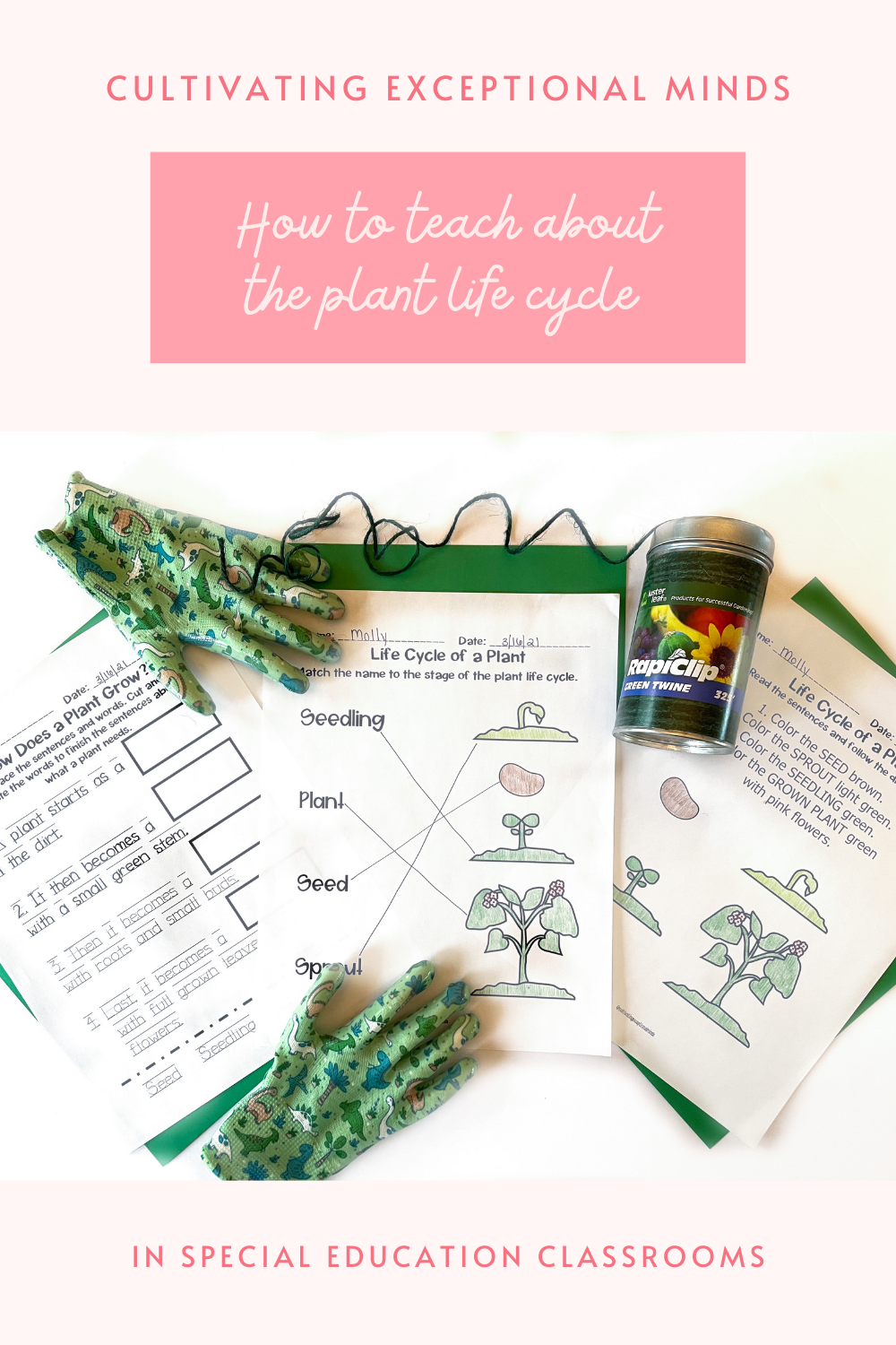 How to Teach About the Plant Life Cycle • Cultivating Exceptional Minds