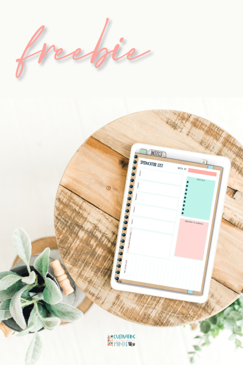 How to Use The Special Education teacher planner: A Guide for Beginners ...