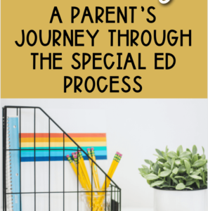 A Parent’s Journey Through the Special Ed process • Cultivating ...