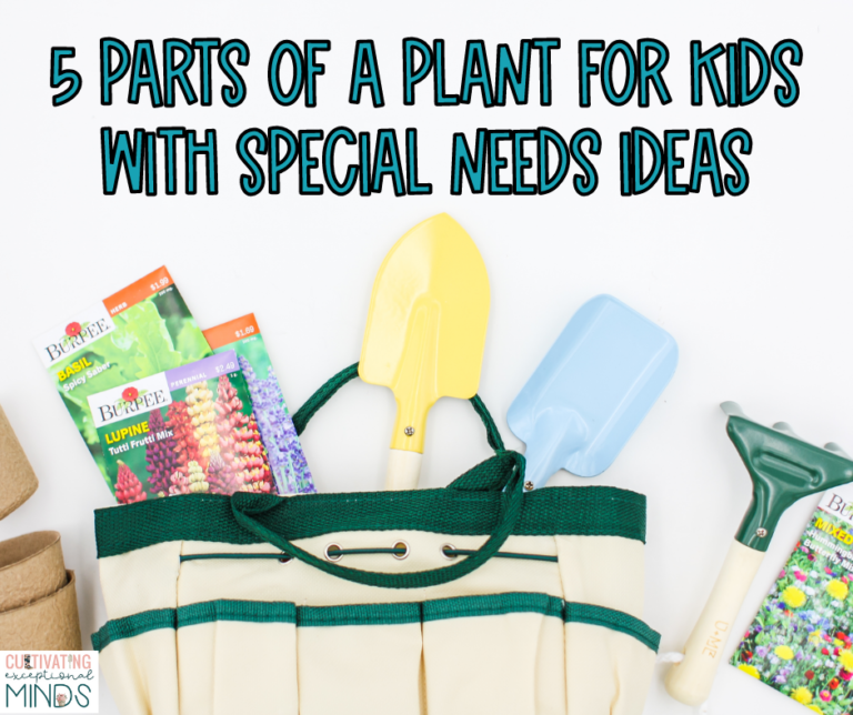 5 Parts of a Plant for Kids with Special Needs Ideas • Cultivating ...