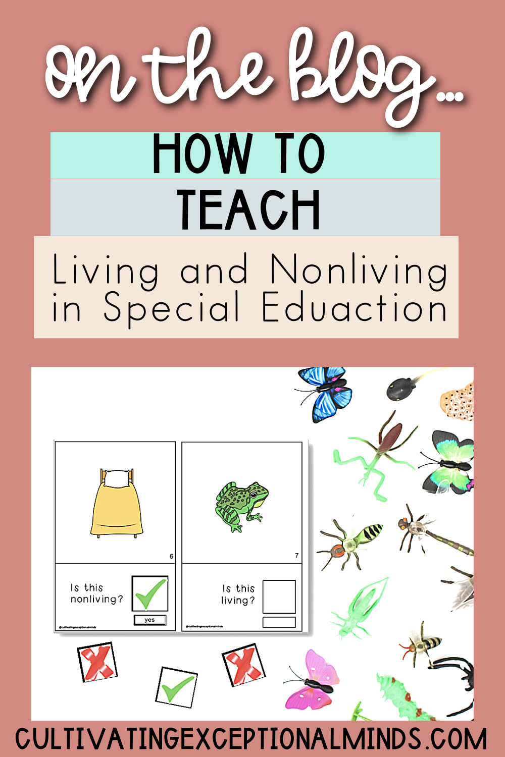 How to Teach Living and Nonliving In Special Education • Cultivating ...