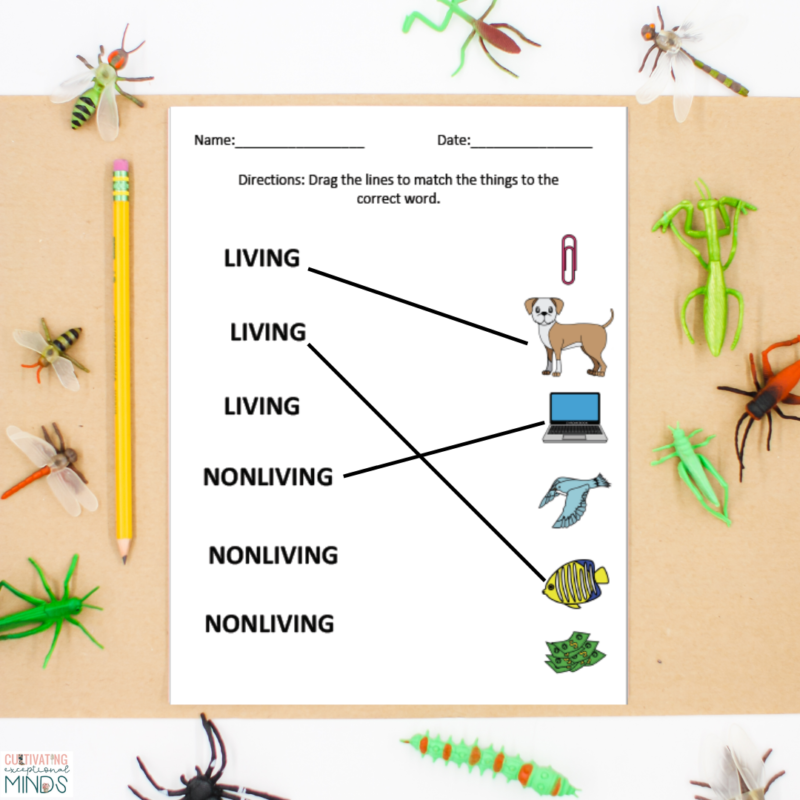 How to Teach Living and Nonliving In Special Education • Cultivating ...