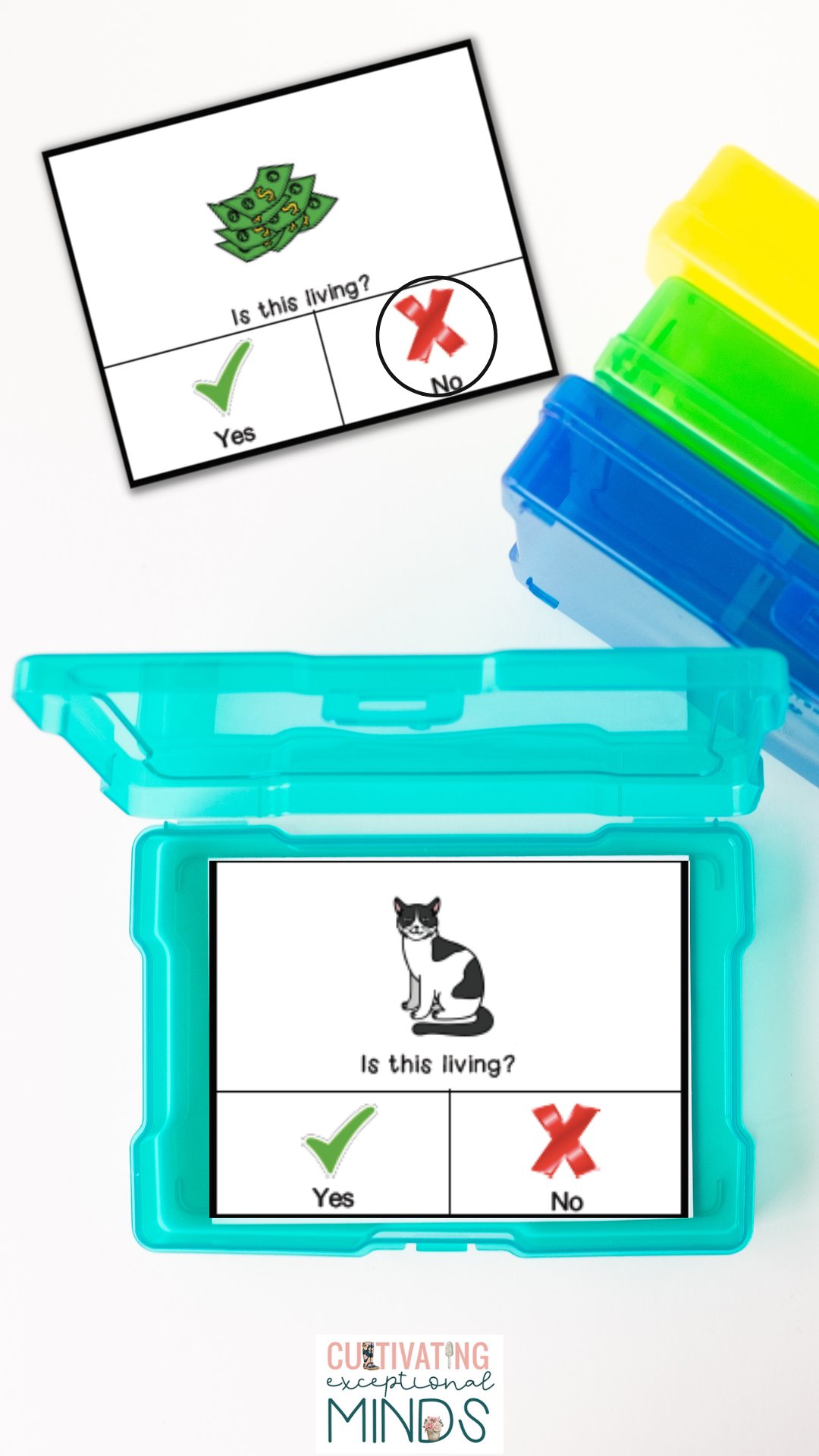 How to Teach Living and Nonliving In Special Education • Cultivating ...