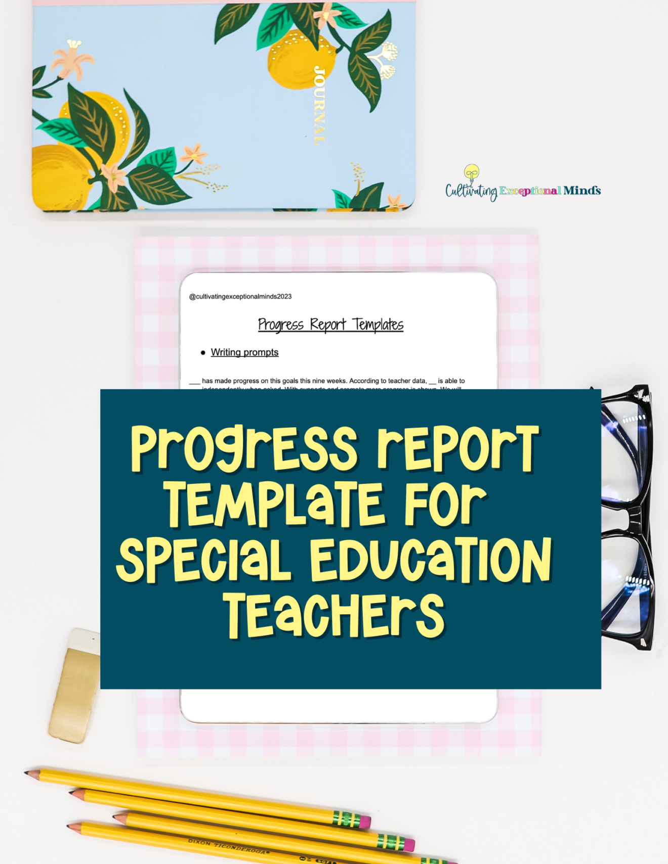 How to Tackle Progress Reports Like a Pro • Cultivating Exceptional Minds